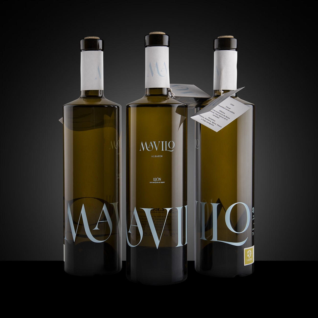 Mavilo Albarín | Javier Garduño Estudio de Diseño